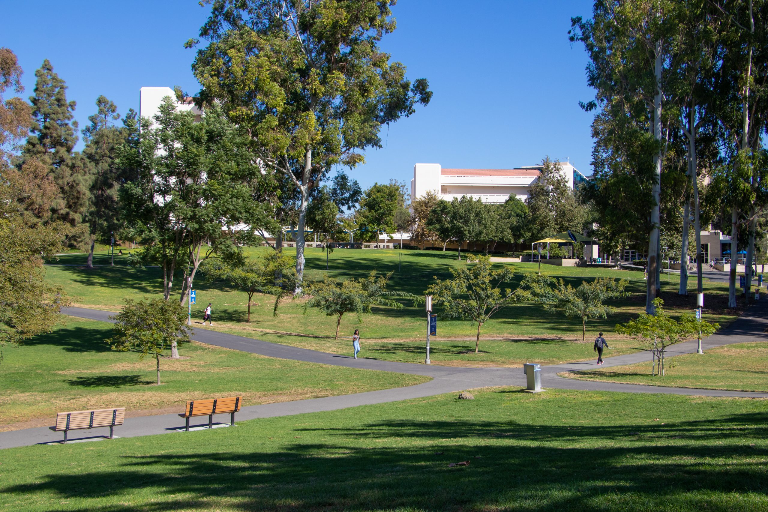 UCI Summer Session Teaching Assistants File Union Grievance For